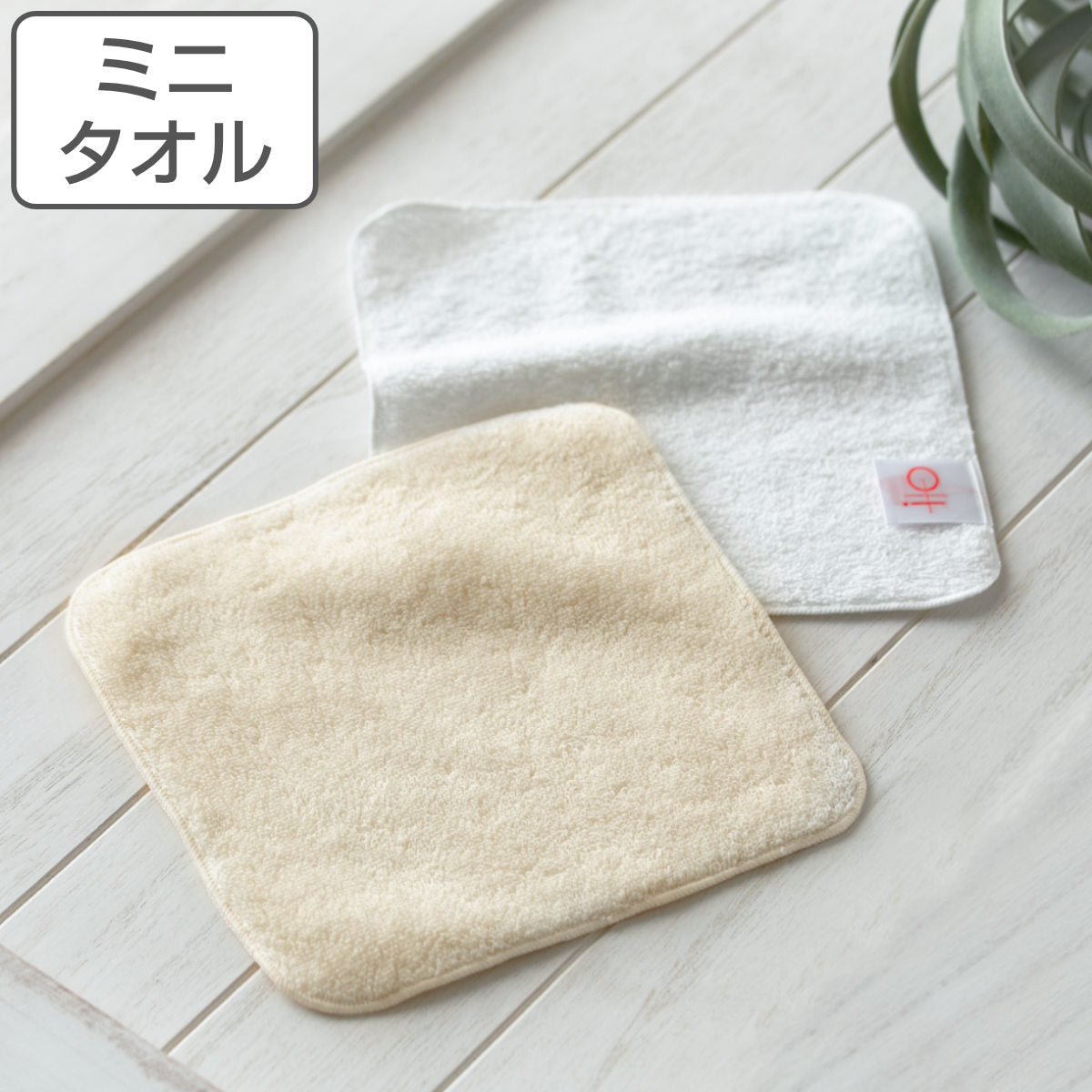 ミニタオル 18×18cm いとやのタオル オーガニックコットン 日本製 – ハウジー